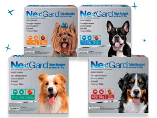 NexGard perros | Tratamiento de parásitos internos y externos