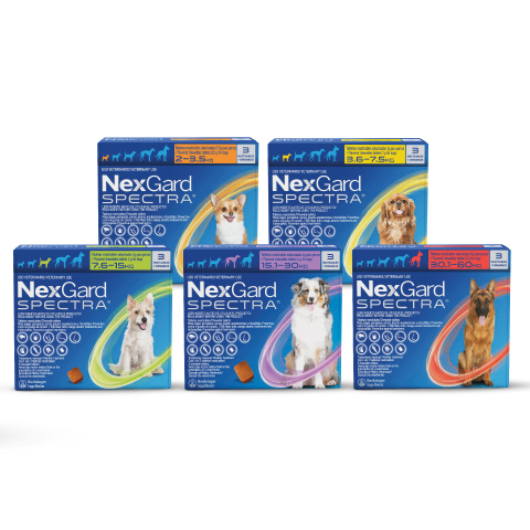 NexGard Spectra | Masticables contra pulgas y garrapatas para perros